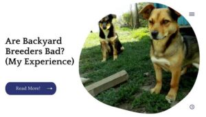 Are Backyard Breeders Bad? (My Experience) | Unified Garden