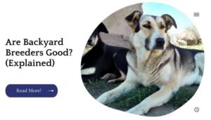 Are Backyard Breeders Good? (Explained) – Unified Garden
