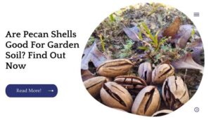 Are Pecan Shells Good For Garden Soil? Find Out Now | Unified Garden