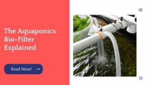 The Aquaponics Bio-Filter Explained – Unified Garden