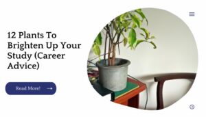 12 Plants To Brighten Up Your Study (Career Advice) – Unified Garden