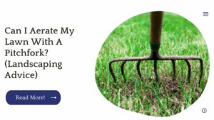 Can I Aerate My Lawn With A Pitchfork? (Landscaping Advice) – Unified ...