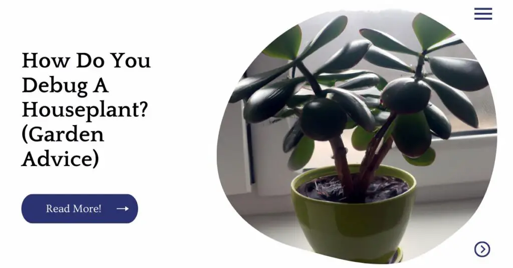 How Do You Debug A Houseplant? (Garden Advice) | Unified Garden