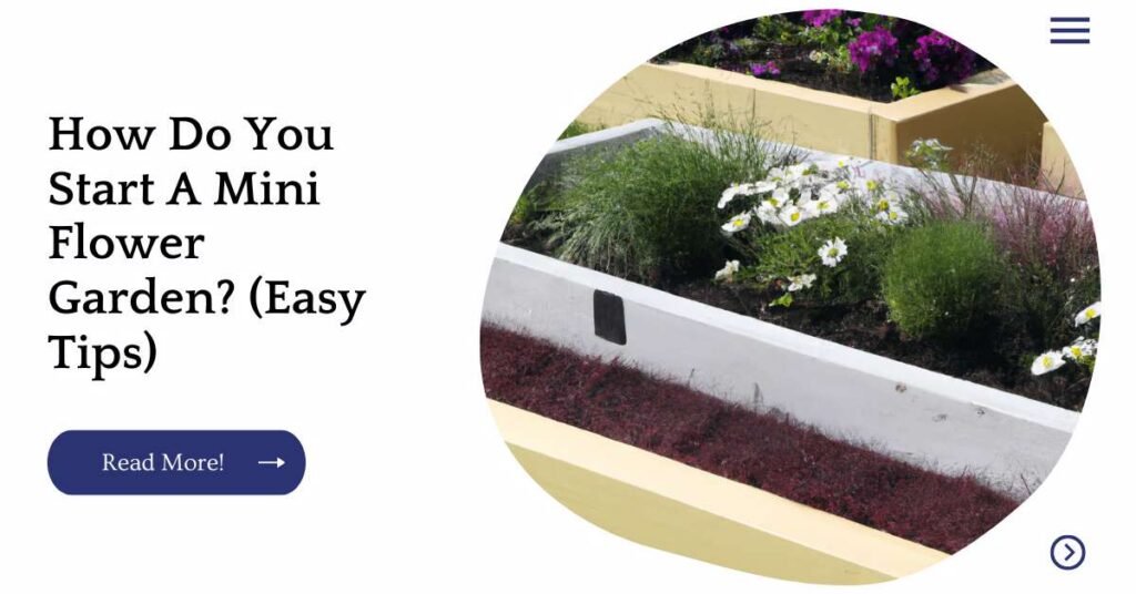 How Do You Start A Mini Flower Garden? (Easy Tips) – Unified Garden