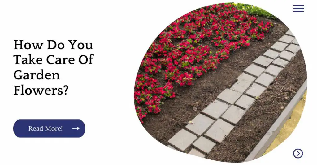 How Do You Take Care Of Garden Flowers? | Unified Garden
