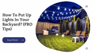 How To Put Up Lights In Your Backyard? (PRO Tips) – Unified Garden