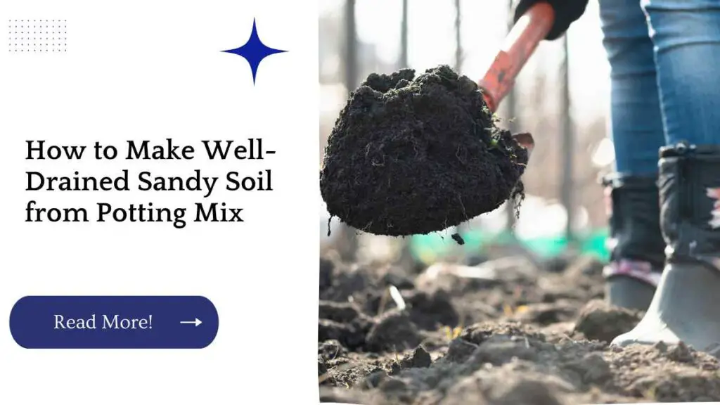 How to Make Well-Drained Sandy Soil from Potting Mix | Unified Garden