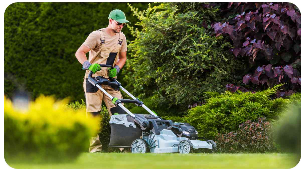 Navigating Lawn Care Laws: Your Guide to Avoiding Legal Trouble ...