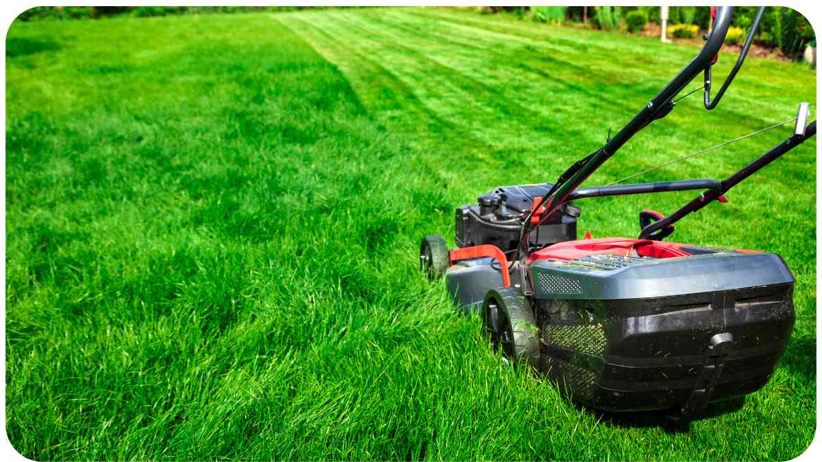 Safe Lawn Care with a Pacemaker: Tips and Alternatives | Unified Garden