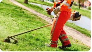 Understanding Lawn Shrimp: Harmless Pests or Lawn Destroyers? – Unified ...