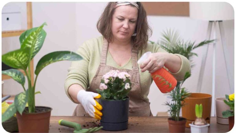 How to Pack Potted Plants for a Move: A Comprehensive Guide – Unified ...