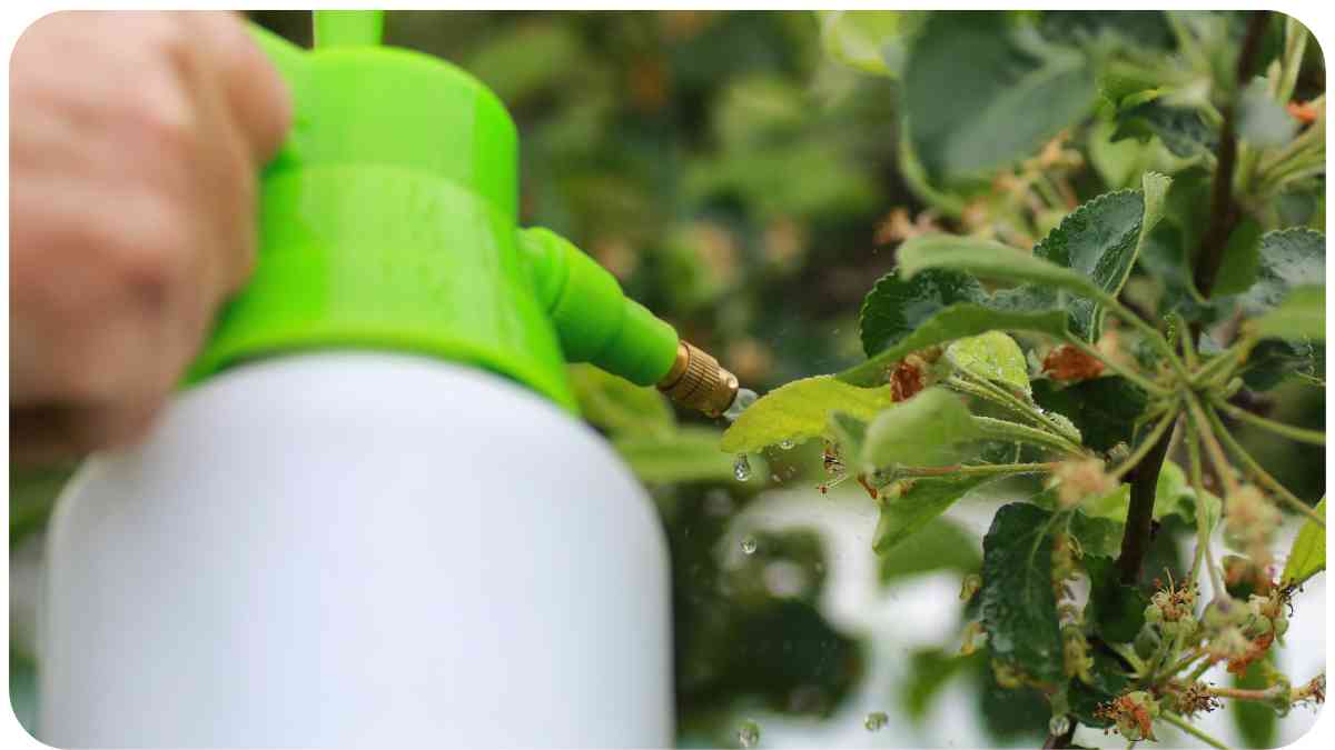 Is It Normal To Have Tiny Bugs In Houseplants? | Unified Garden