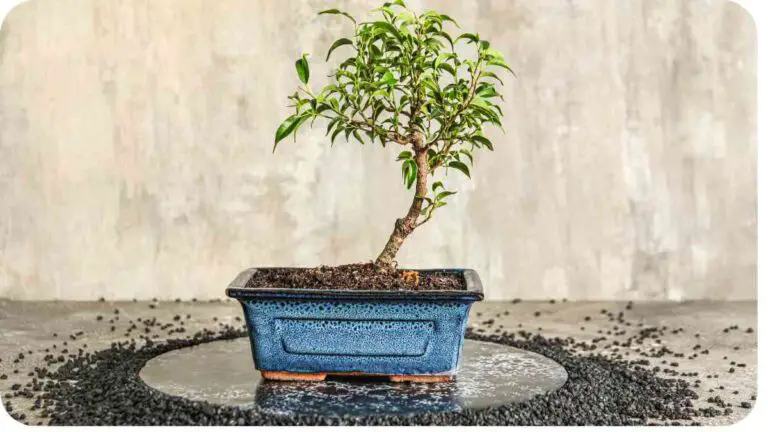 Unraveling the Mysteries of Tree Limb Formation: The Branching ...