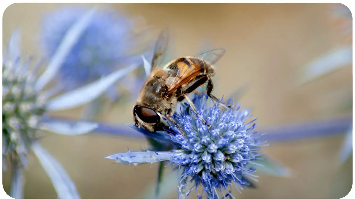 Creating a Pollinator Paradise in Your Backyard | Unified Garden