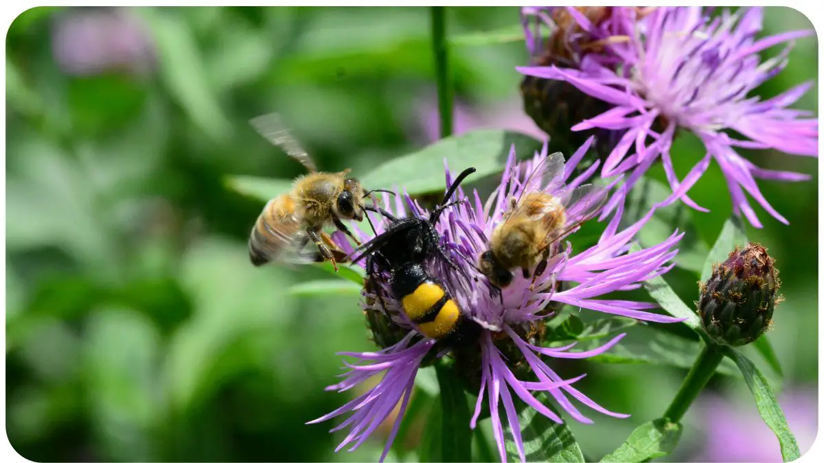 Creating a Pollinator Paradise in Your Backyard | Unified Garden