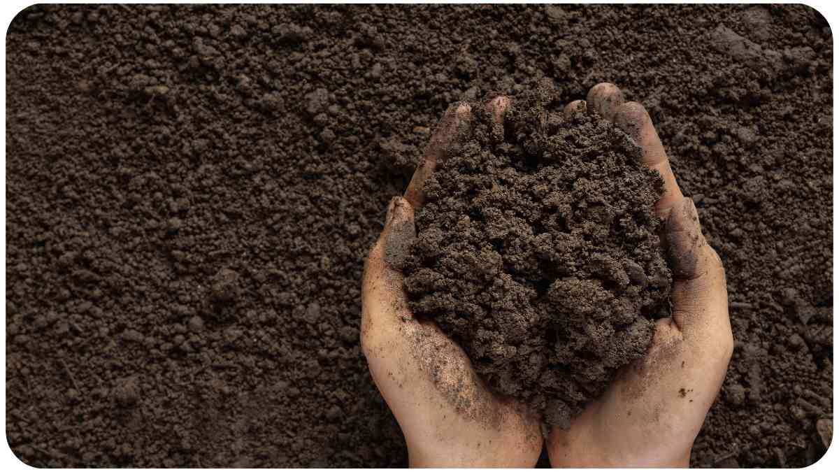 Drought-Busting Gardens: Mastering Water-Wise Planting Methods ...