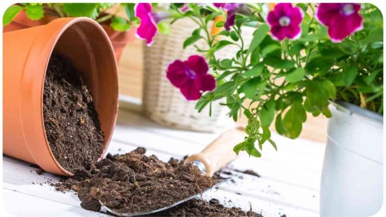 How Does Dry Potting Soil Absorb Water? – Unified Garden